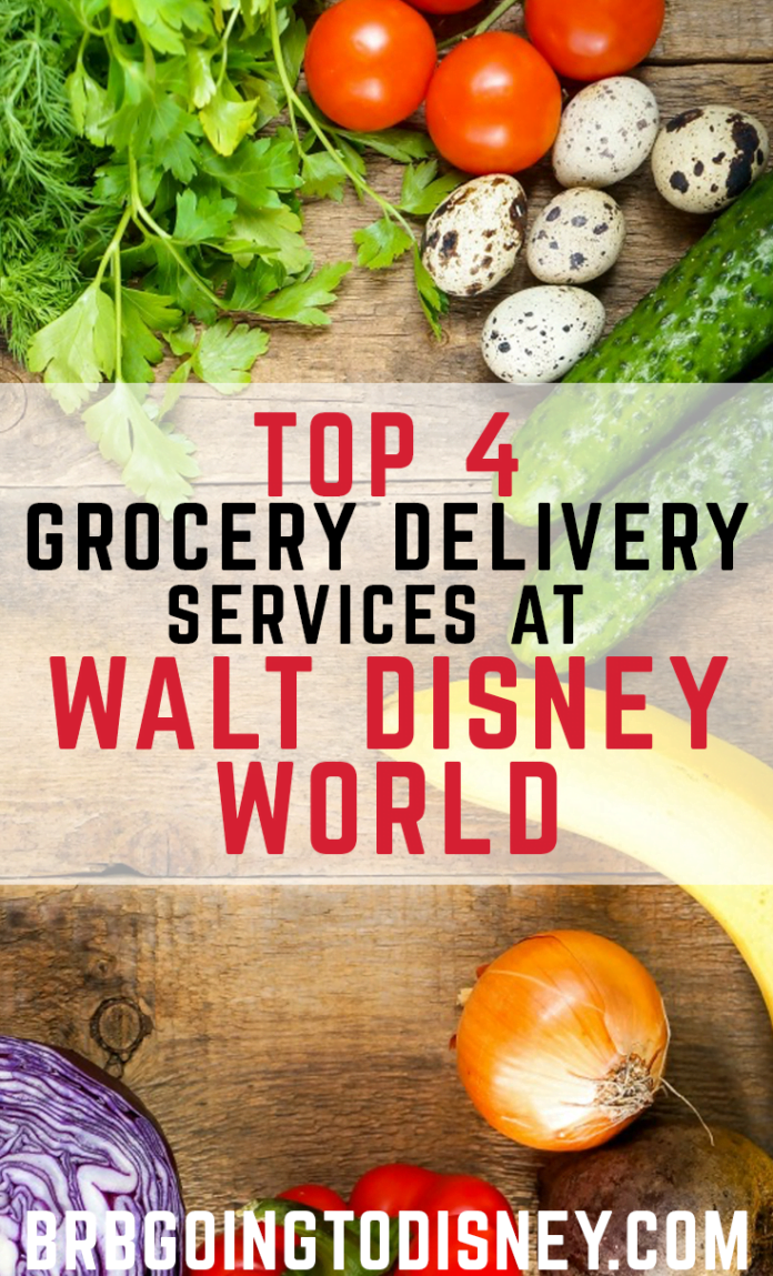 How to Get Groceries Delivered at Disney World | brb going to disney
