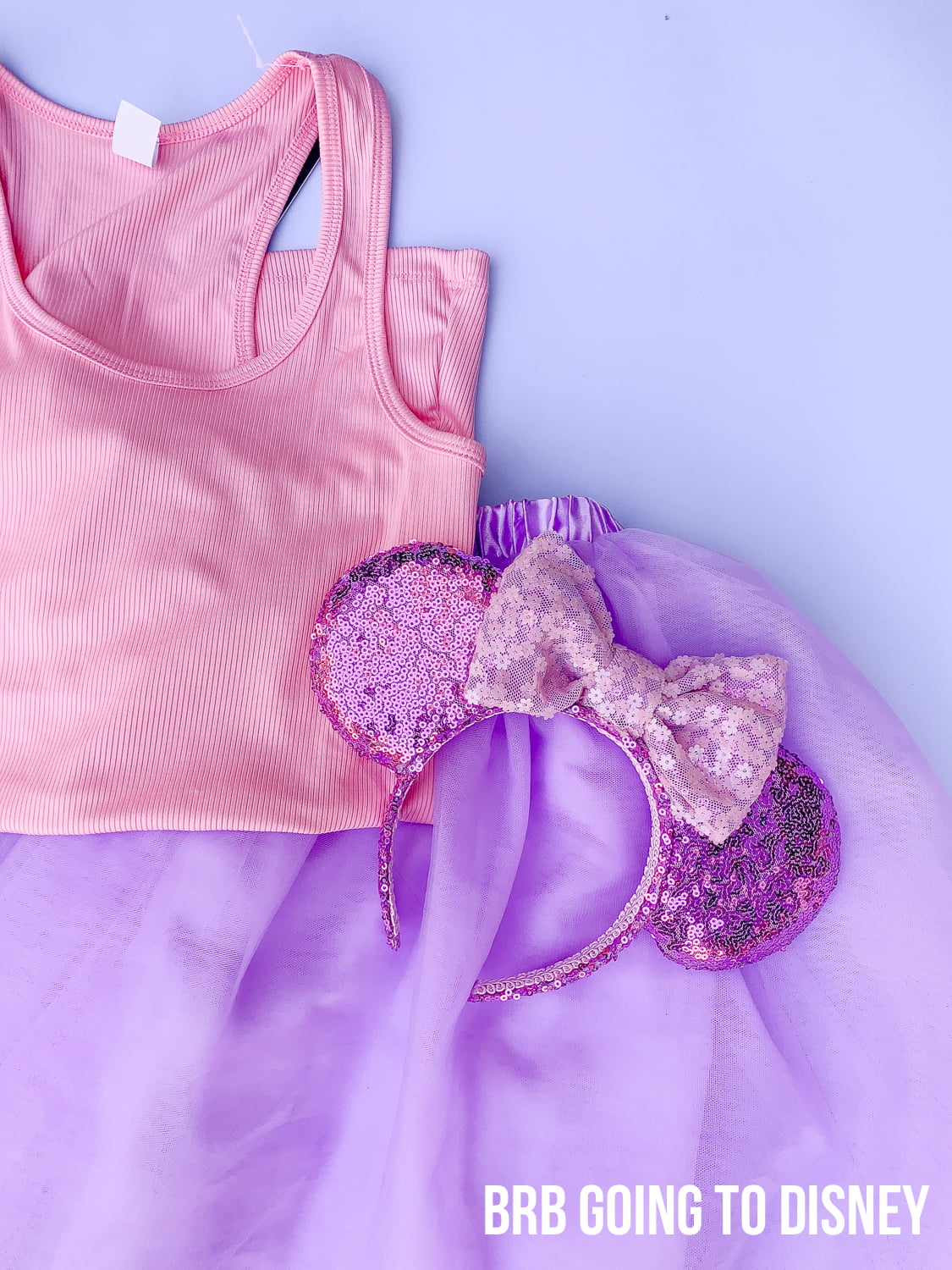 RunDisney Princess Costumes -- Easy Race Outfits | brb going to disney