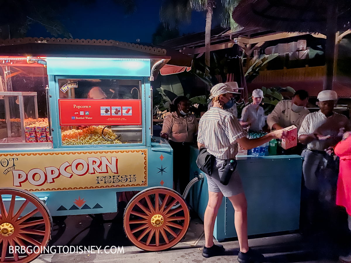 Is Disney's Boo Bash Worth the Money? That Depends. | brb going to disney