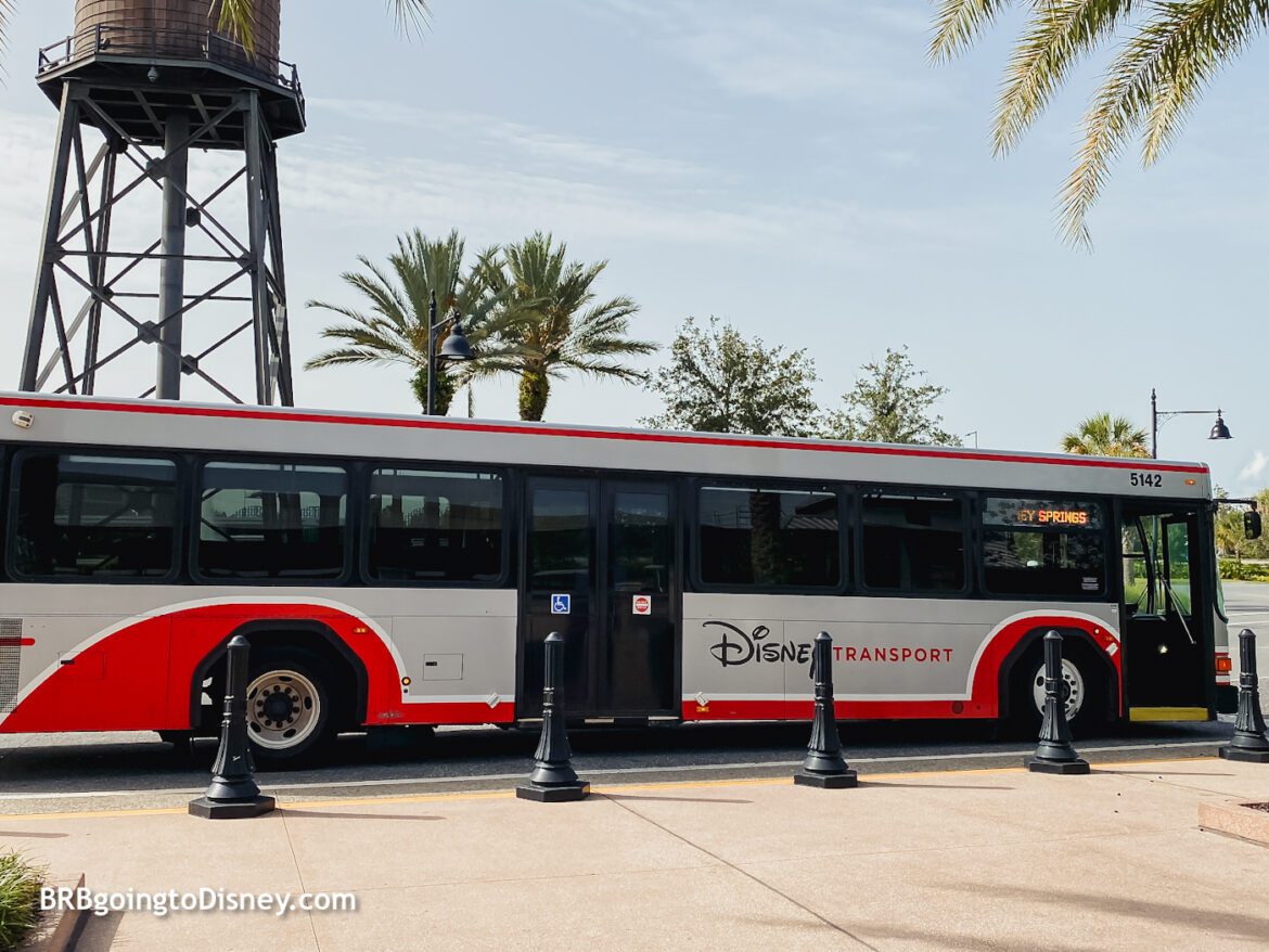 What Transportation Options are Available at Walt Disney World: Full ...